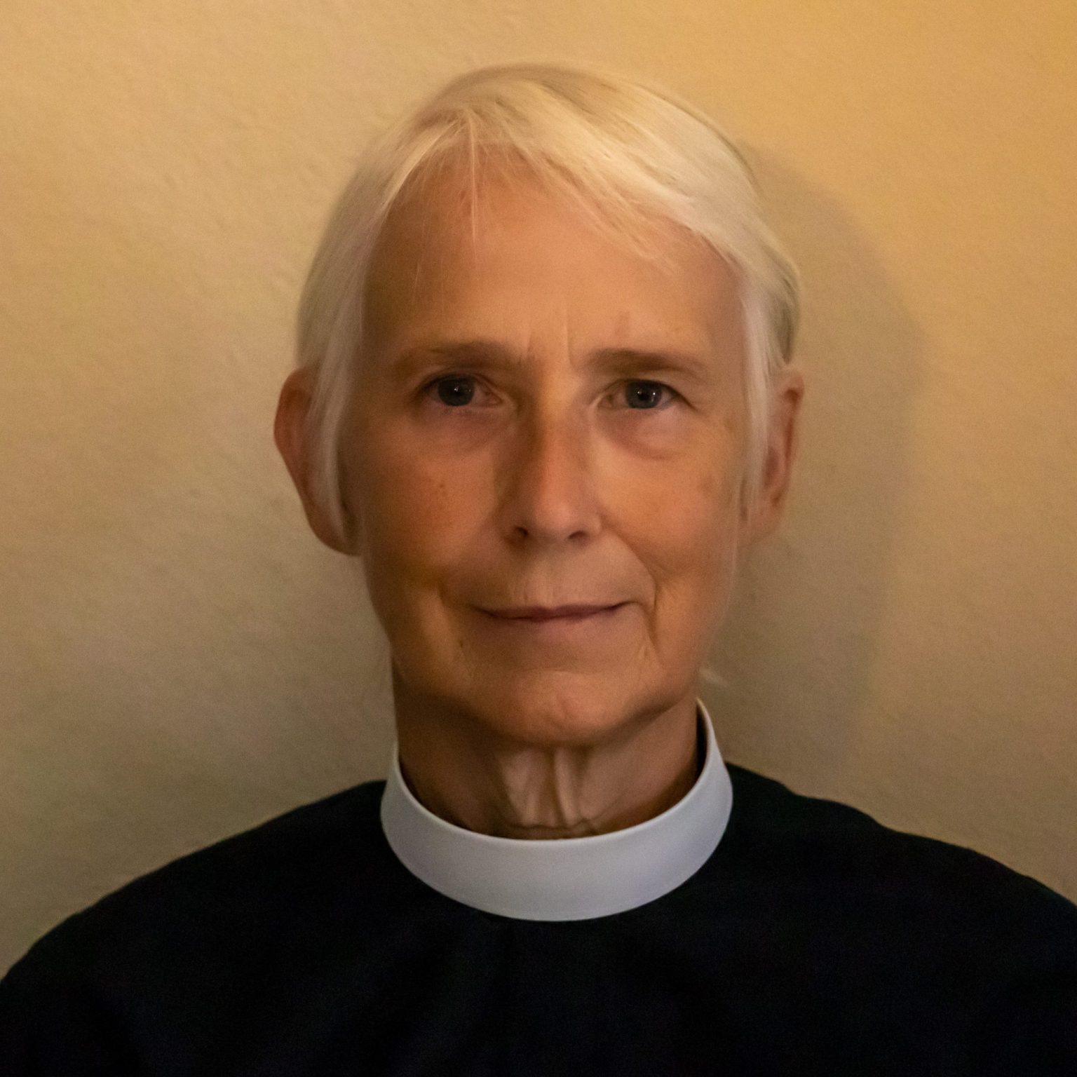 The Rev. Dawn Mcdonald – Episcopal Diocese Of Central Florida
